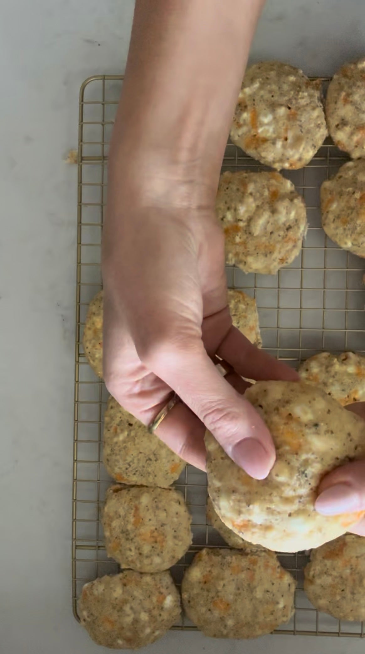 Back-to-School Fuel: Protein-Packed Breakfast Biscuits for Busy Moms ...